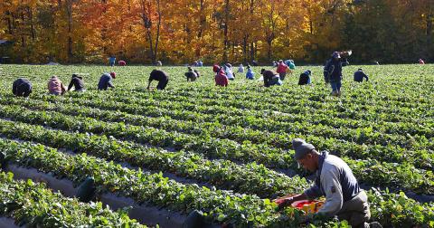Controversies around Farm Workforce Modernization Act - - Johns Hopkins ...