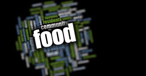 Structuring Your Food Policy Council - - Johns Hopkins Center for a ...