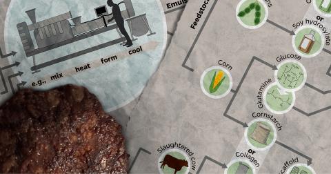 Considering plant-based meat substitutes and cell-based meats: A public ...