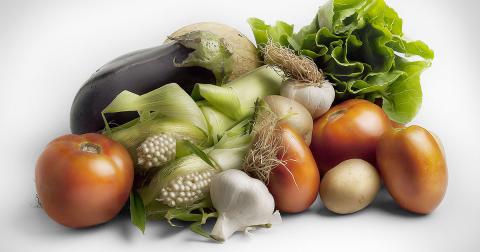 Franciscan Center Kicks Off Innovative Fresh Food Project - - Johns ...