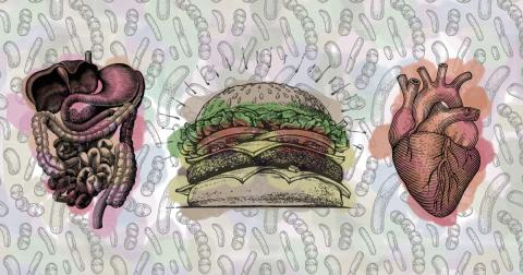 Eating Less Meat May Help Your Gut - - Johns Hopkins Center for a ...