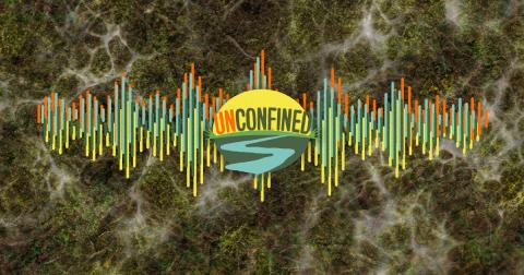 It’s Not Enough to Sustain: We Must Regenerate - - Johns Hopkins Center ...