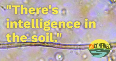 Soil Microbes Matter - - Johns Hopkins Center for a Livable Future